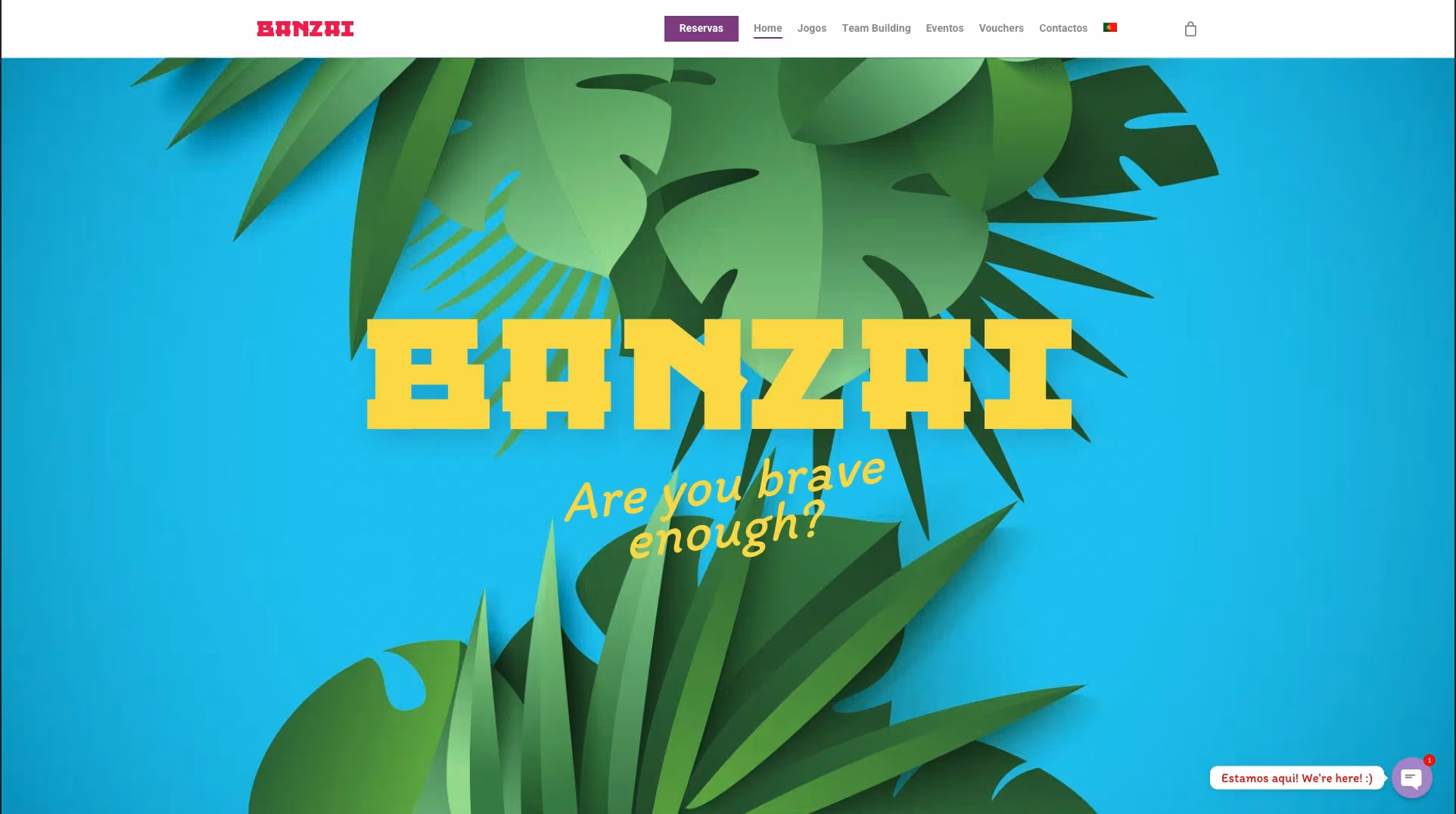 Otimização de WordPress a Banzai - One Pixel